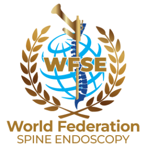 VI World Congress of Endoscopic Spine Surgery & Miss